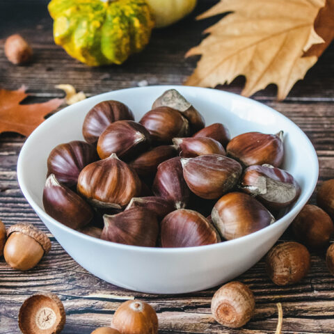 La Tradició de la Castanyera a Catalunya: Origens, Curiositats i ...